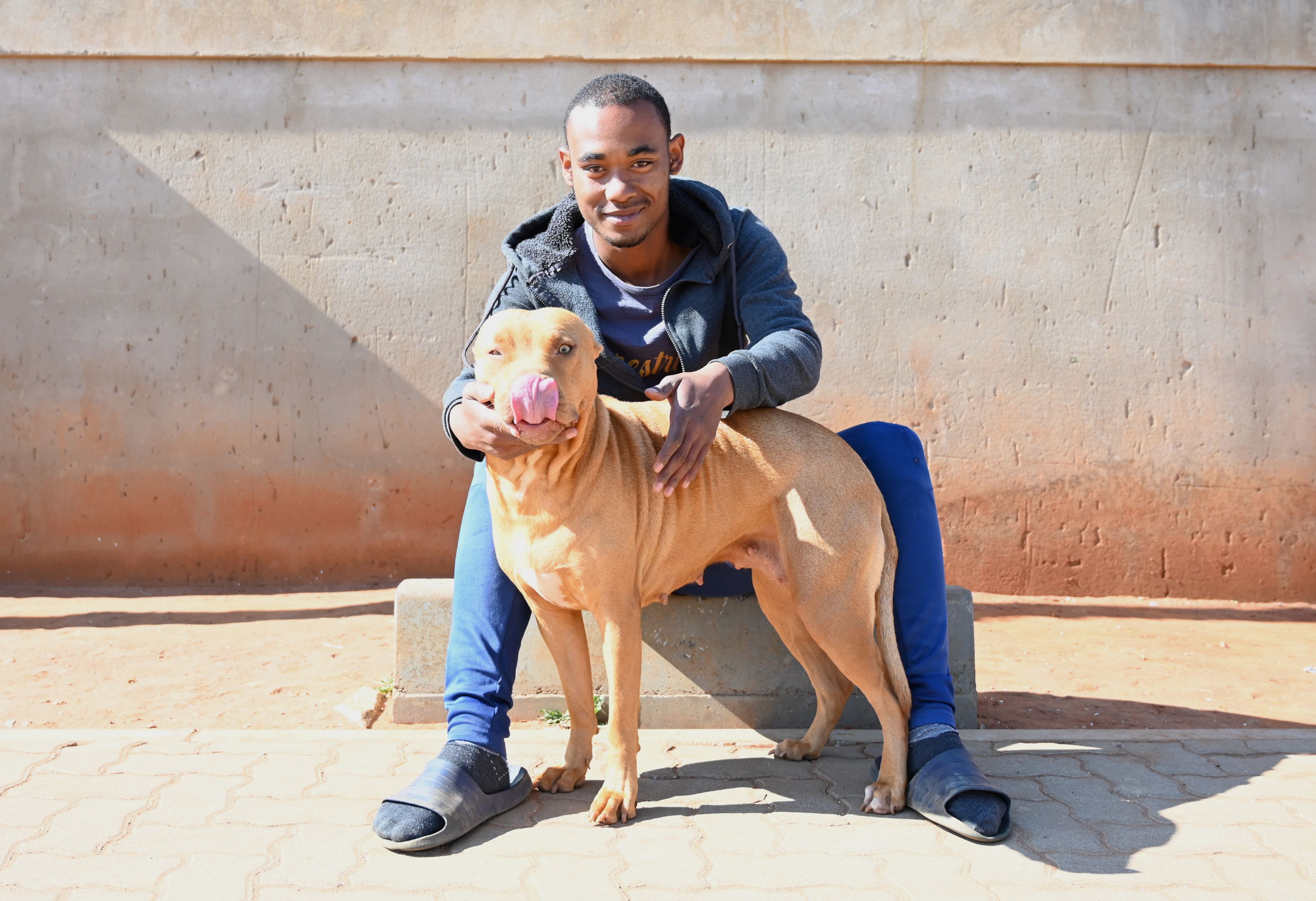 Pitbulls unleashed
